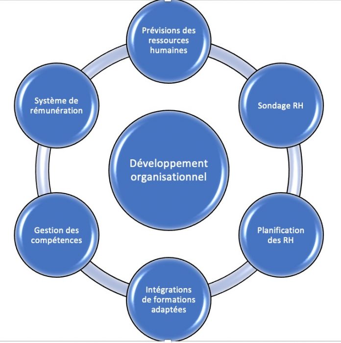 Planification Stratégique Des Ressources Humaines Dans Un Développement